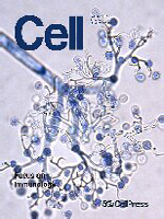 XPhos | CAS NO.: 564483-18-7 | GlpBio