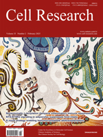 XPhos | CAS NO.: 564483-18-7 | GlpBio