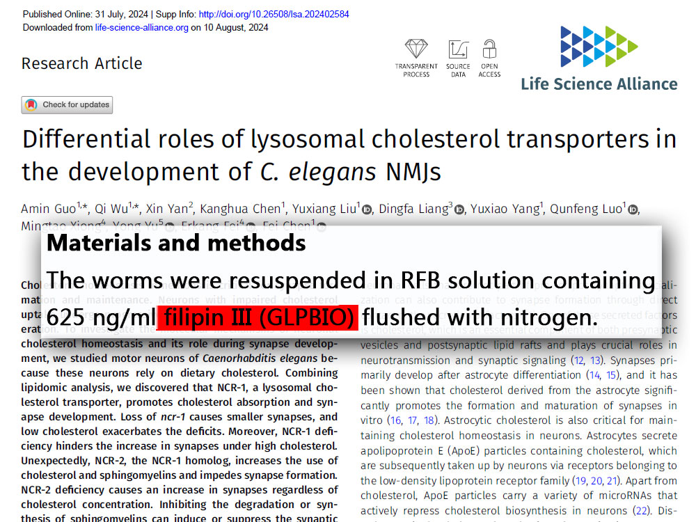 Filipin III | Cholesterol-conjugated fluorescent antibiotic | GlpBio