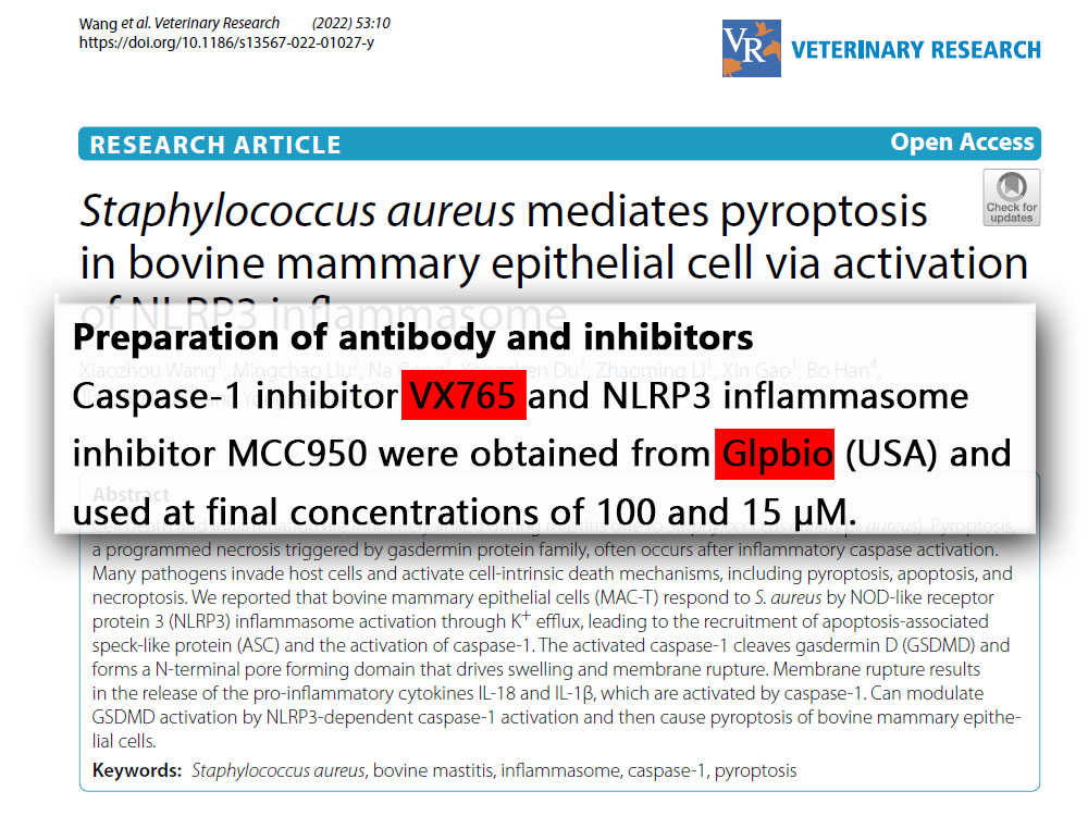 VX-765 | Caspase-1 inhibitor | CAS NO.:273404-37-8 | GlpBio