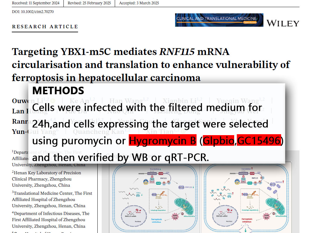 Hygromycin B | Selective antibiotics | CAS NO.:31282-04-9 | GlpBio