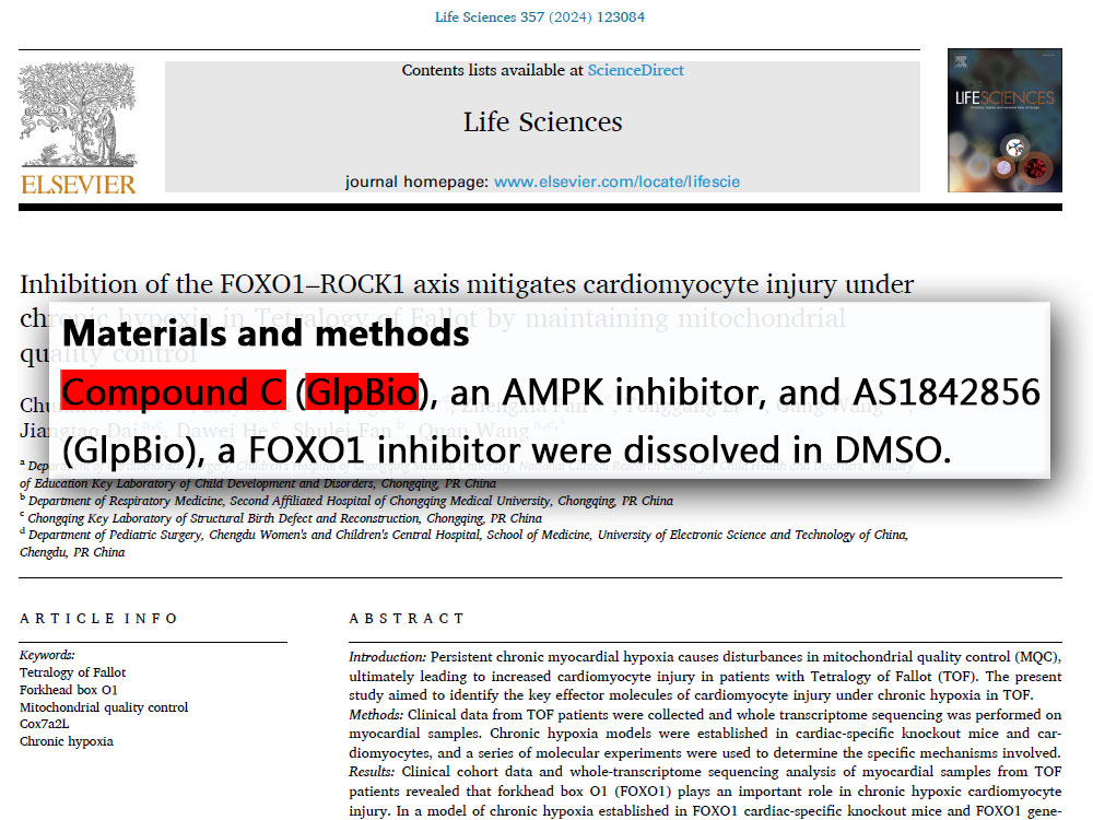 Dorsomorphin (Compound C) | AMPK inhibitor | CAS NO.:866405-64-3 | GlpBio