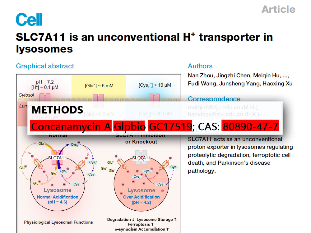 Concanamycin A | V-type (vacuolar) H+-ATPase inhibitor | GlpBio