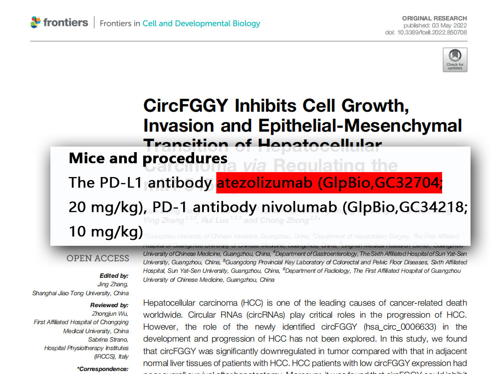 Atezolizumab (MPDL3280A) | Monoclonal antibody against PD-L1 | GlpBio