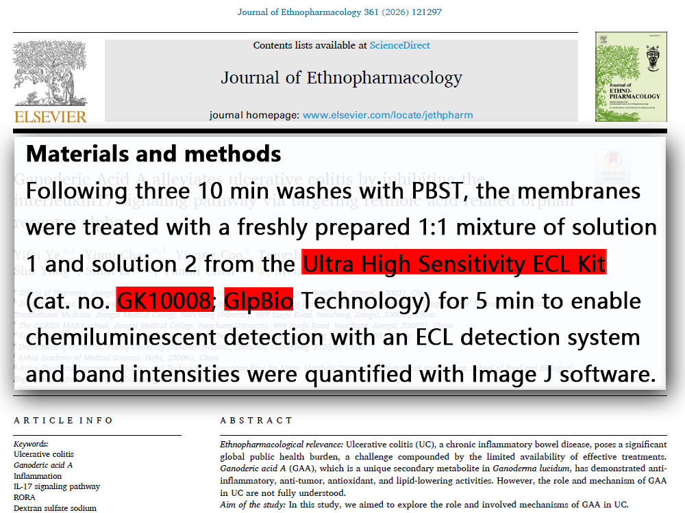 Ultra High Sensitivity ECL Kit |ECL超敏化学发光试剂盒-美国GlpBio