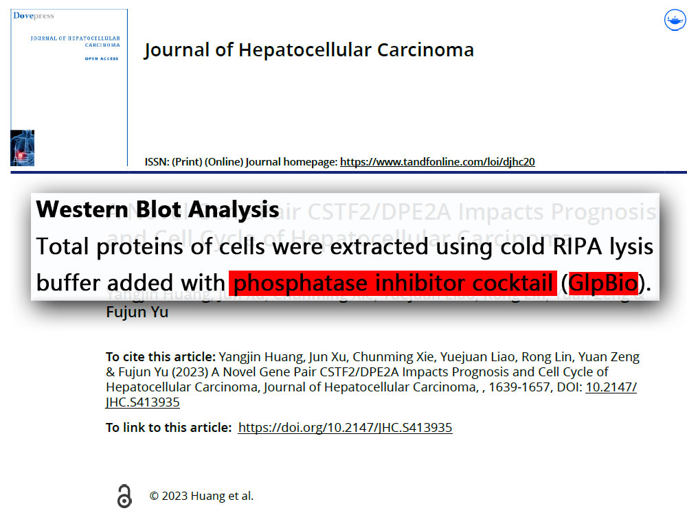 Phosphatase Inhibitor Cocktail II (100× in ddH₂O)|磷酸酶抑制剂混合物 II - 美国GlpBio