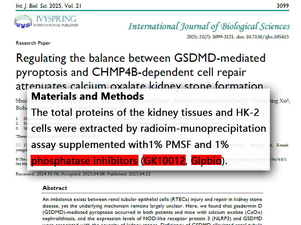 Phosphatase Inhibitor Cocktail II (100× in ddH₂O)|磷酸酶抑制剂混合物 II - 美国GlpBio