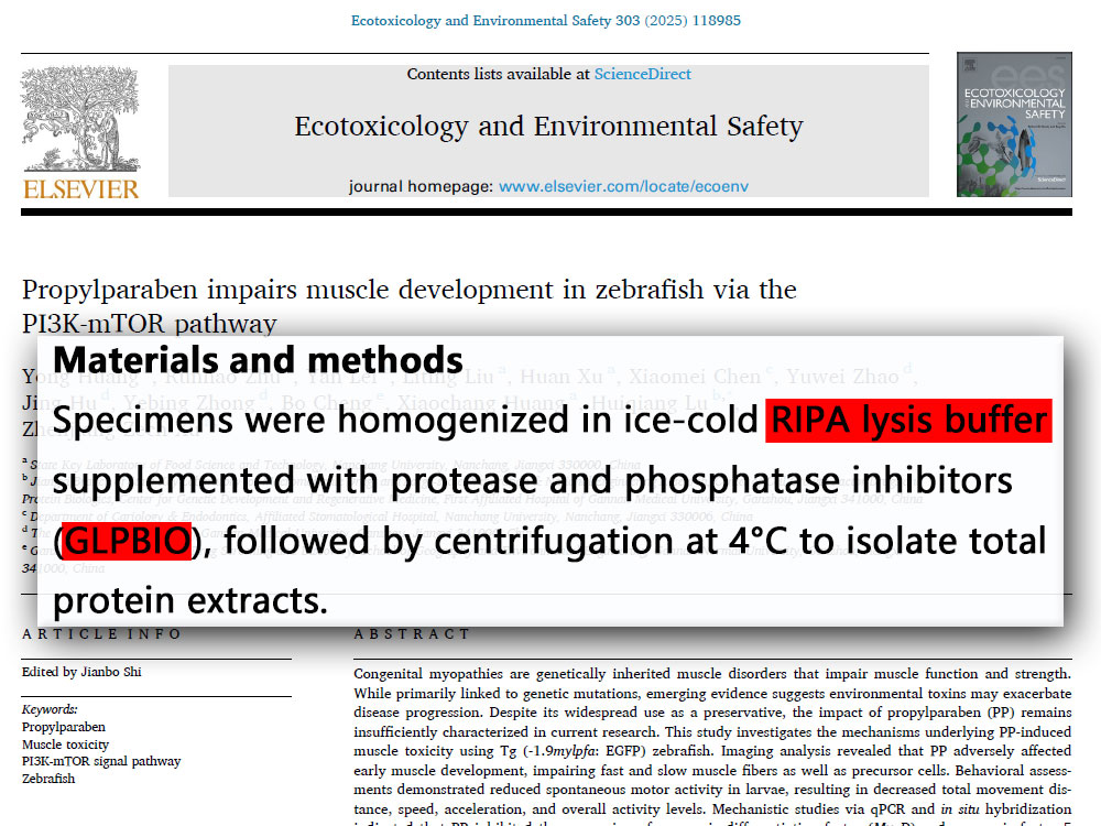 pmid 40897055 int j mol sci 26 . 7 2025