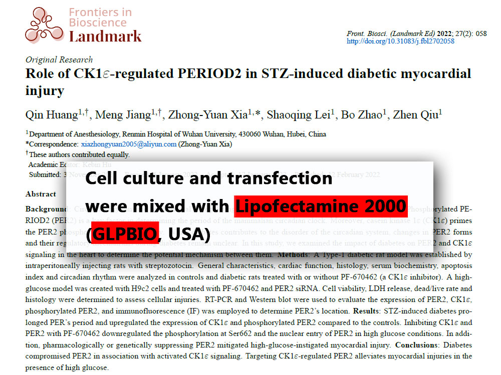 Lipo2000 Transfection Reagent